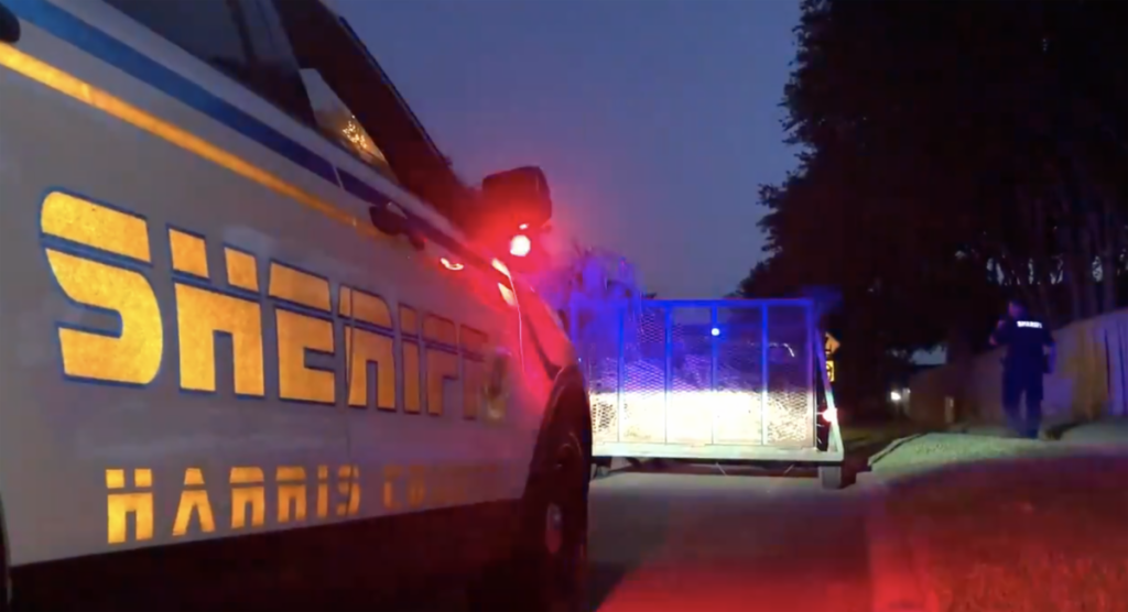 Message from Sheriff Ed Gonzalez – Stay Focused, Stay Safe: Tips to ...