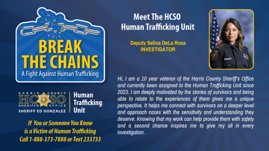 Message from Sheriff Ed Gonzalez – HCSO Takes Action Against ﻿Human ...
